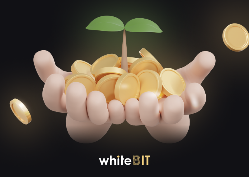 ℹ Qué se debe tener en cuenta al elegir un intercambio de criptomonedas: los 3 mejores consejos ...